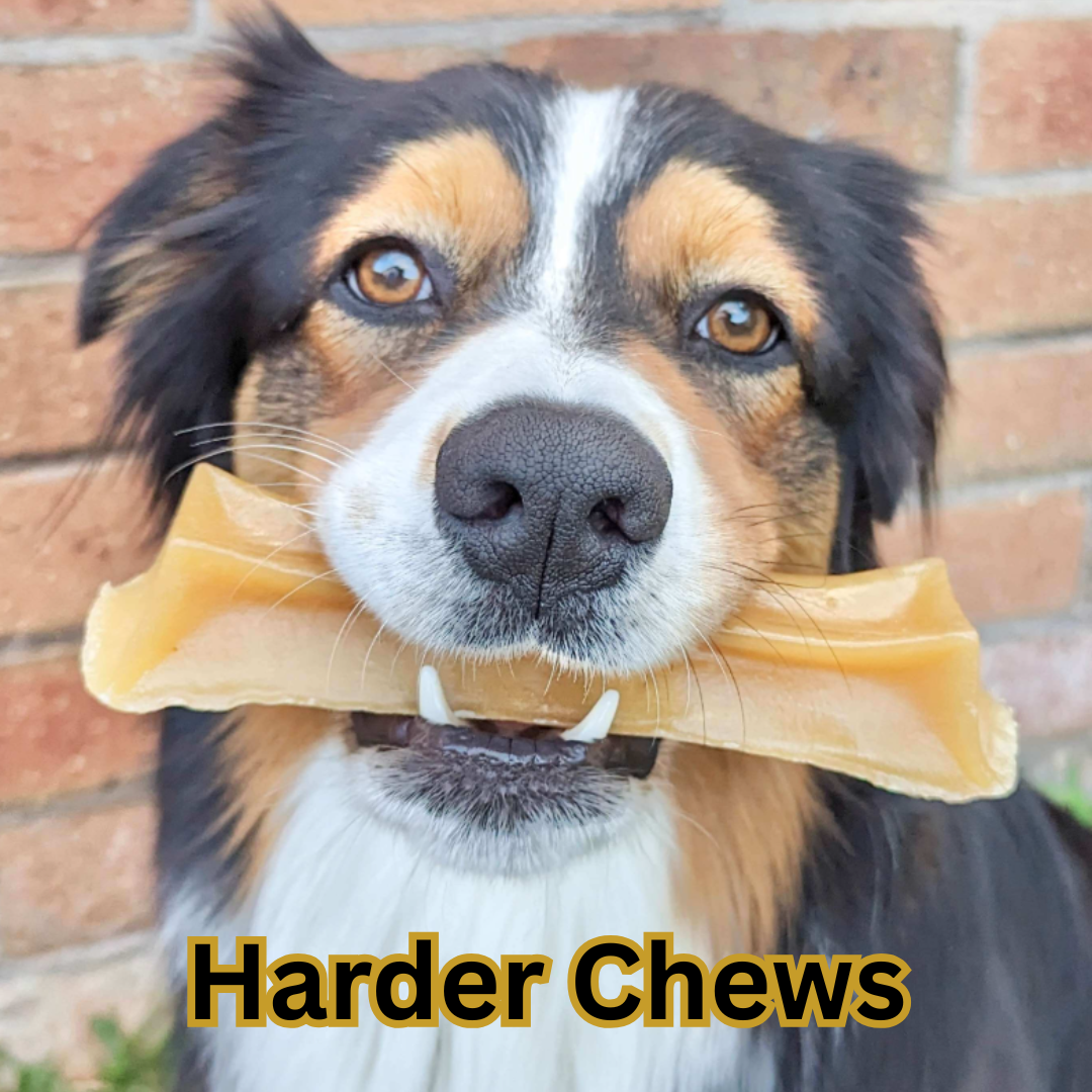 Harder Chews – Perfectly Pawesome
