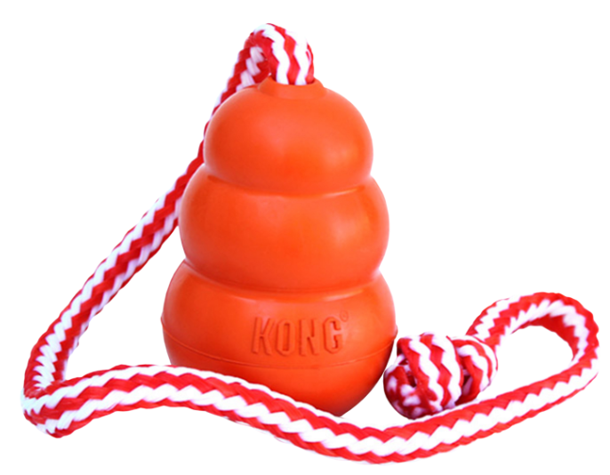 KONG Aqua Floating Retrieval Dog Toy with Rope - Promotes Fun and Exer ...