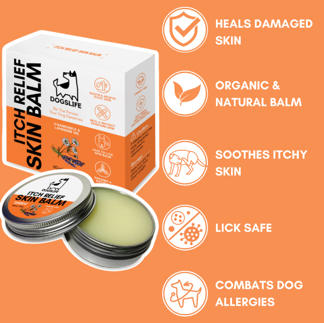 DogsLife Dog Soothe Skin Balm 60ml – Perfectly Pawesome